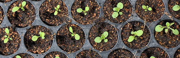 Innovative Ways to Grow Deposits