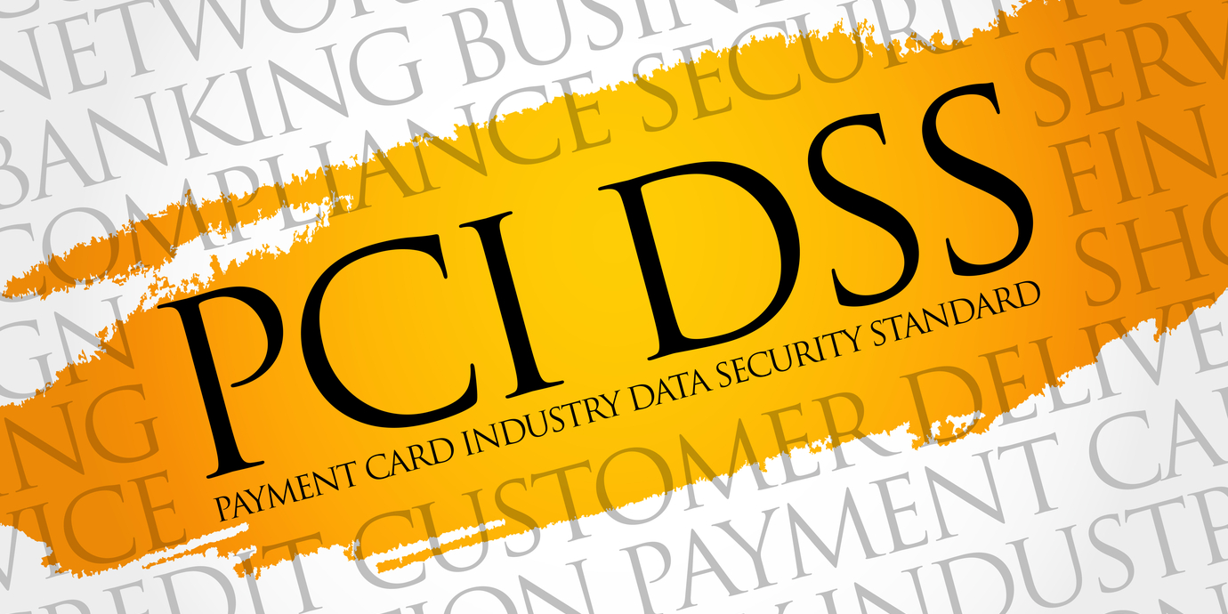 Introduction to the Payment Card Industry Data Security Standard (PCI DSS)